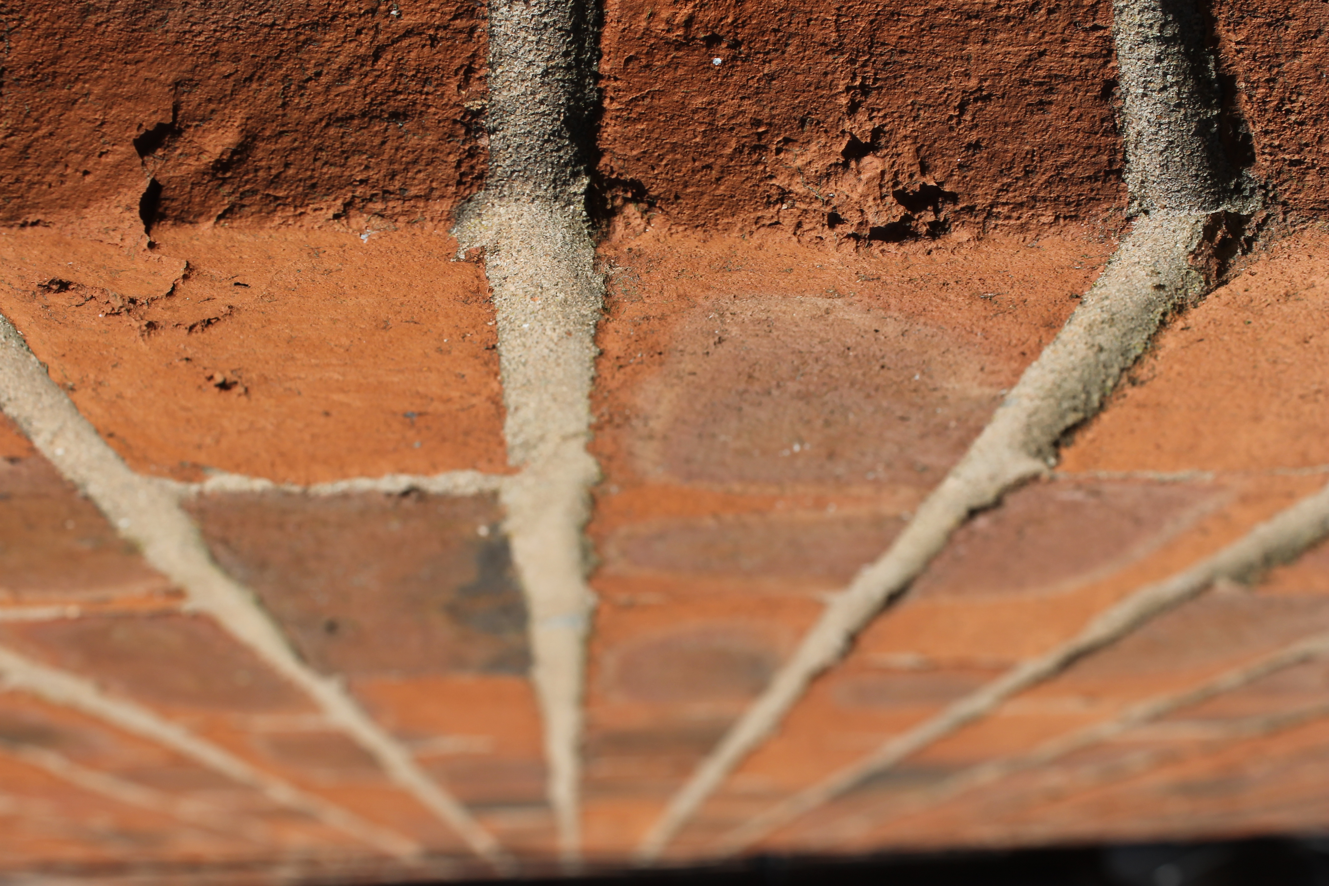 IMG_0962 - Clive Fagg Planning